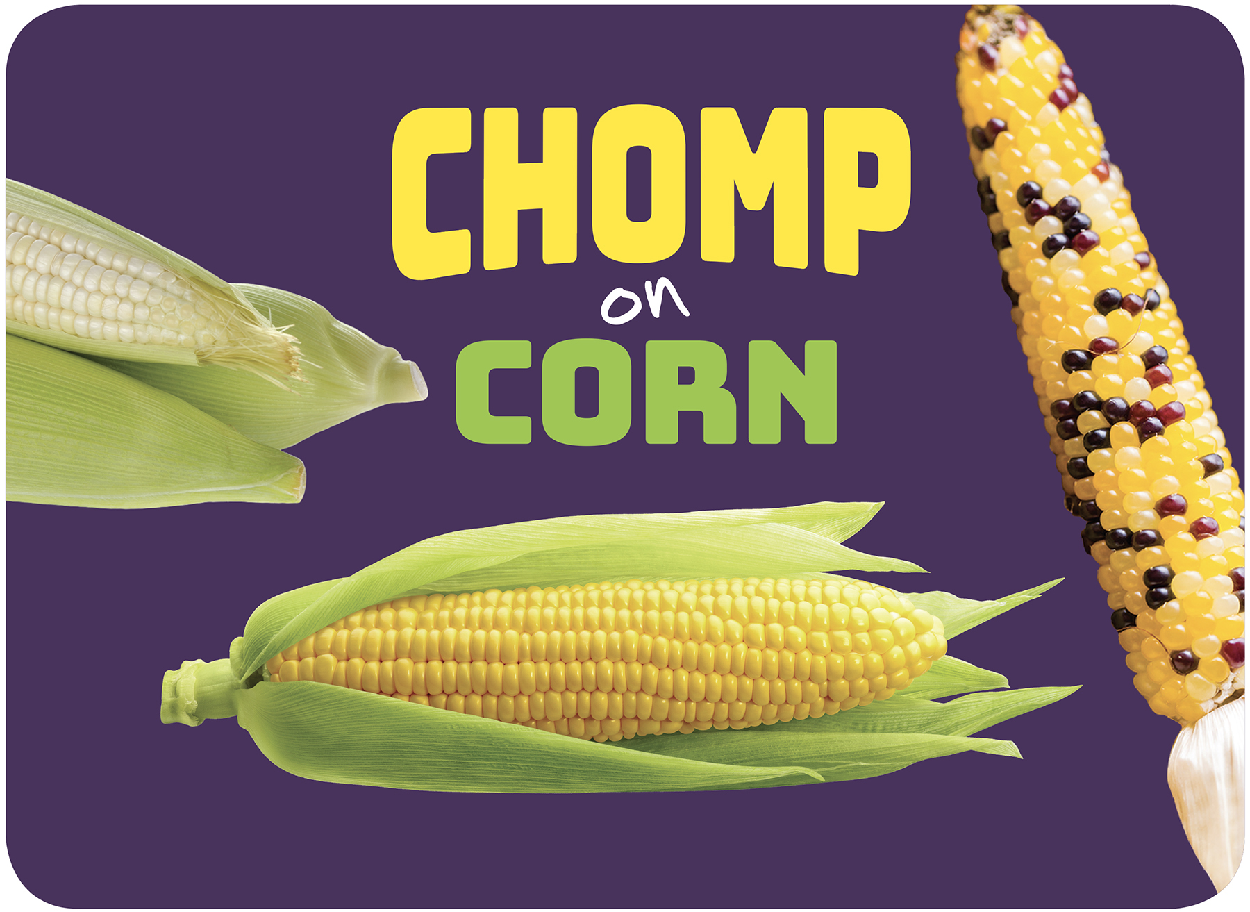 Corn – Health & Well-Being
